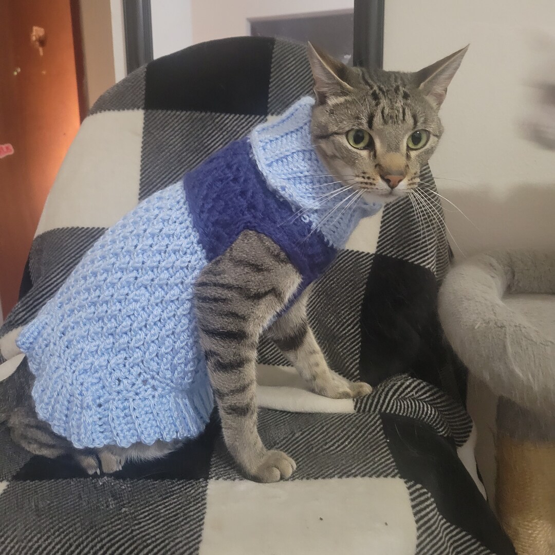 Cat Sweater. Pattern Created by Anna Lee. Https://pin.it/4d8mjzppb - Etsy