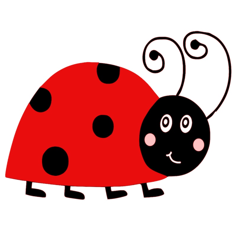 2 Cute smiling Ladybugs Girl & Boy svg gsp pdf jpg eps | Etsy
