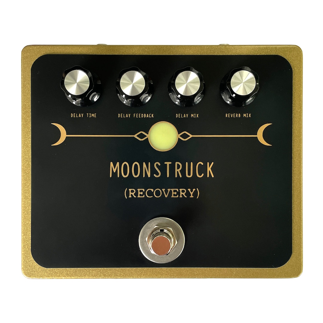 MOONSTRUCK: Real Spring Reverb + Analog-style Delay Guitar Effects ...