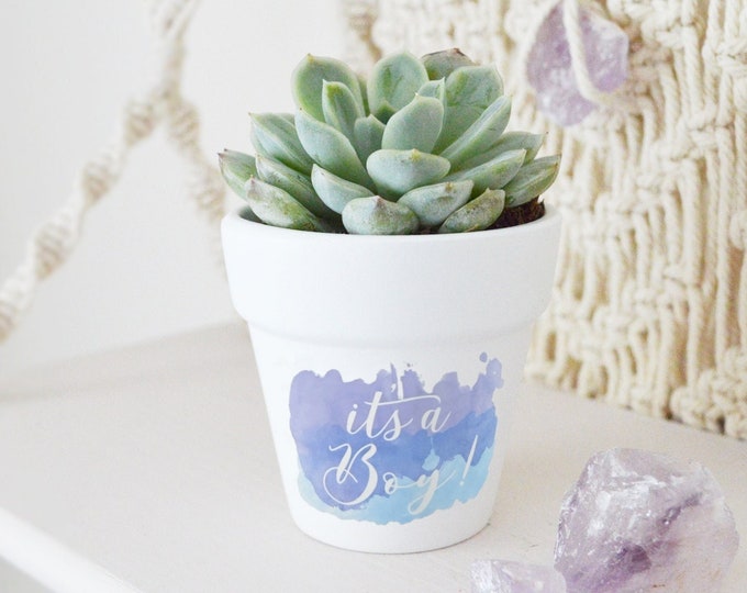 It's a Boy 20-pack Succulent Pots 2.5" Mini White Terra Cotta Clay Pots ...