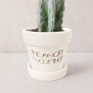 Punny Plant Pot |the Angry Cucumber | Funny Pots for Plants | Succulent ...