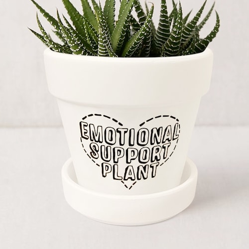 Home & Hobby Concrete Planter Gold Planter Emotional Support Plant ...