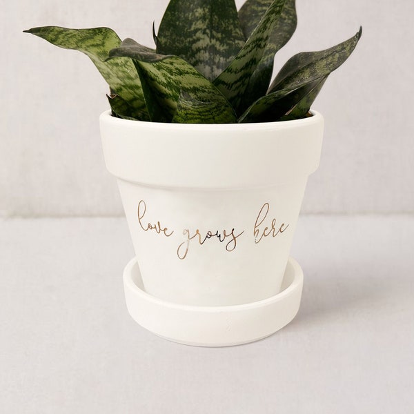 Love Grows Here - Etsy