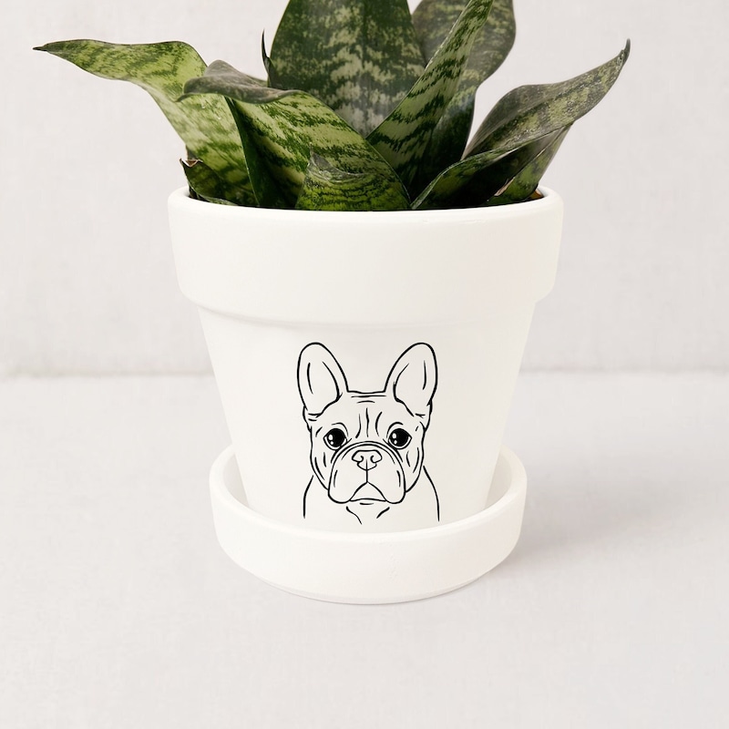 French Planter - Etsy