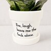 Punny Plant Pot |the Angry Cucumber | Funny Pots for Plants | Succulent ...