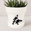 Pun Plant Pot | 2.5" the Angry Cucumber Cactus Planter | Funny ...