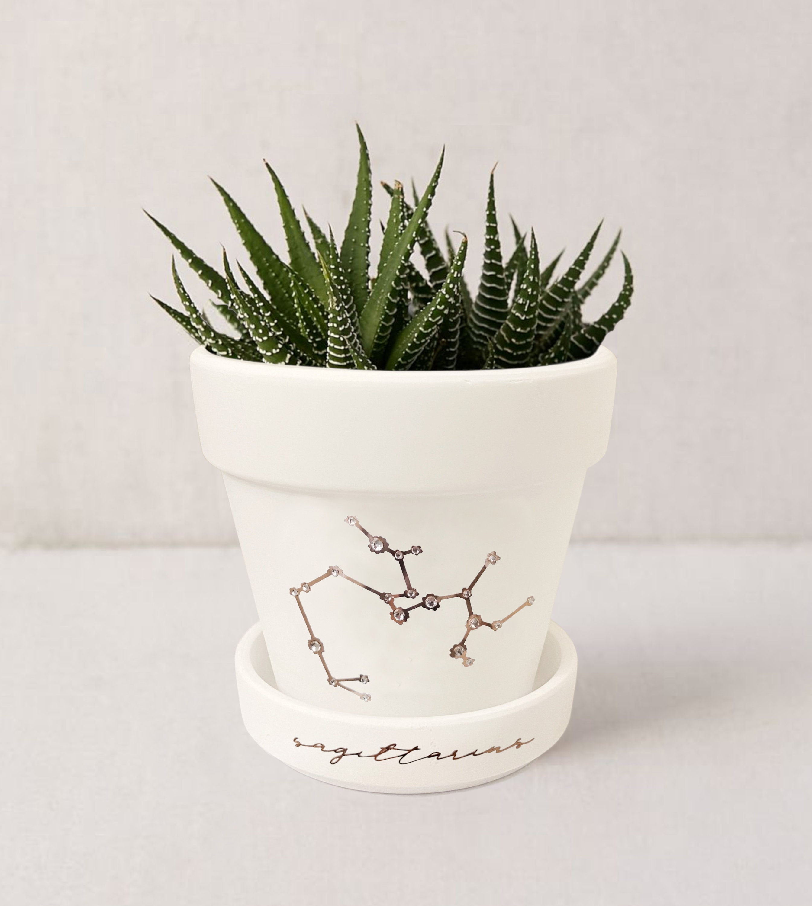 Zodiac Gifts Celestial Constellation Art Planter Horoscope - Etsy