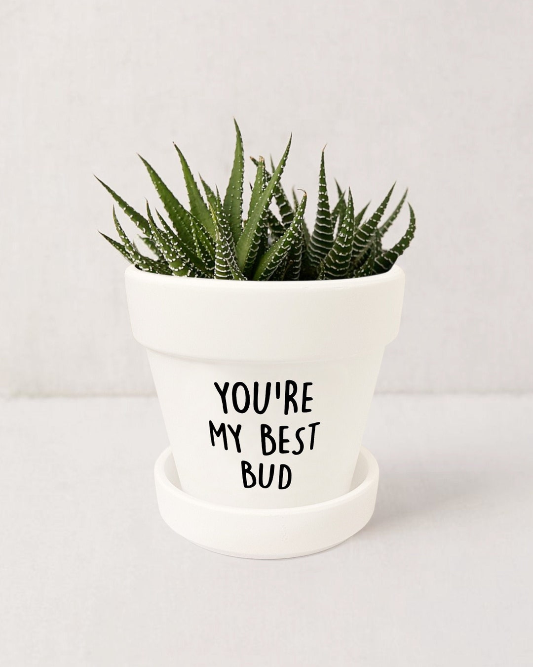Punny Pun Plant Pot | You're My Best Bud | Pots for Plants | Funny ...