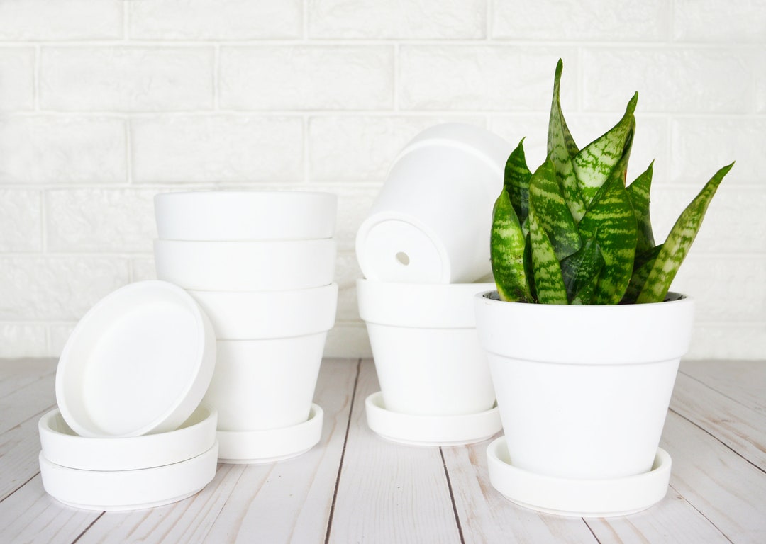 6-pack | 4" Small Terra Cotta Pots W/ Saucers | Clay Pot White Ceramic ...
