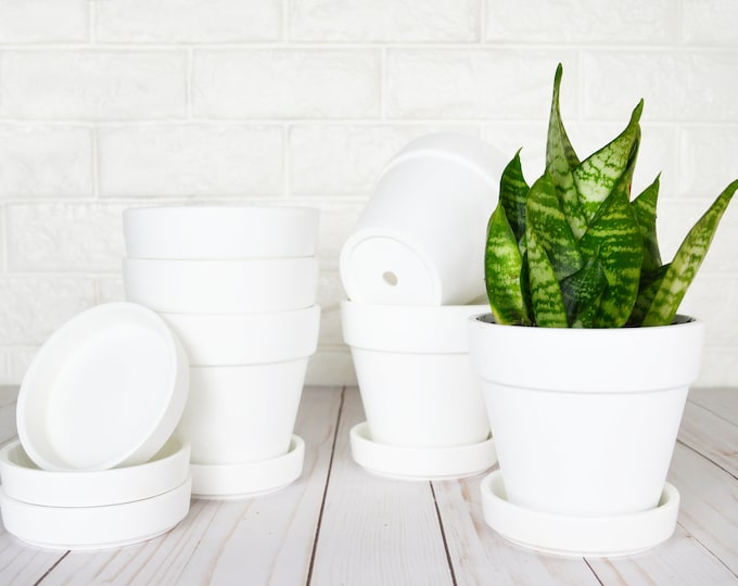 6-pack 4 Small Terra Cotta Pots W/ Saucers Clay Pot | Etsy