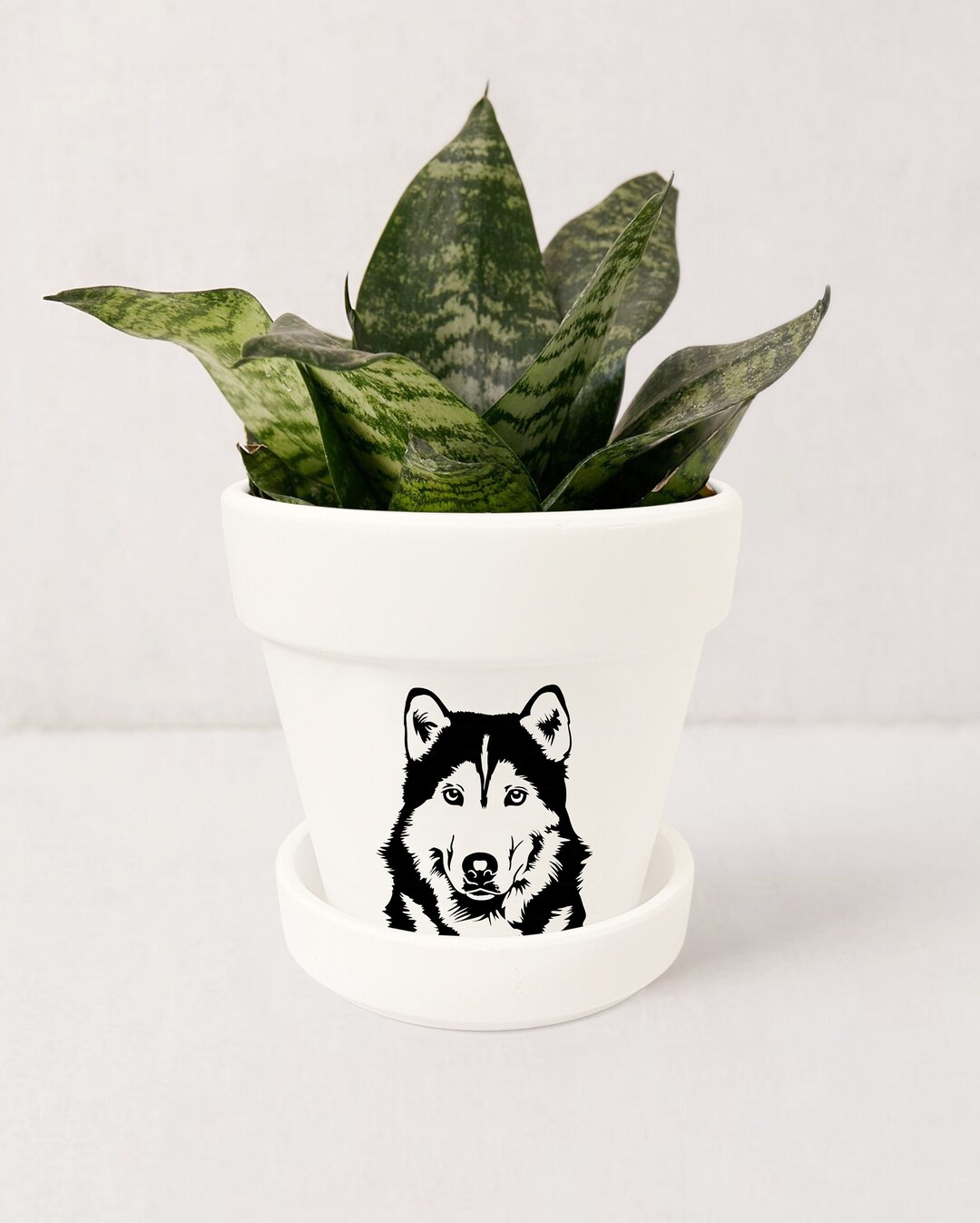 Siberian Husky Succulent Planter Pot With Saucer - Etsy