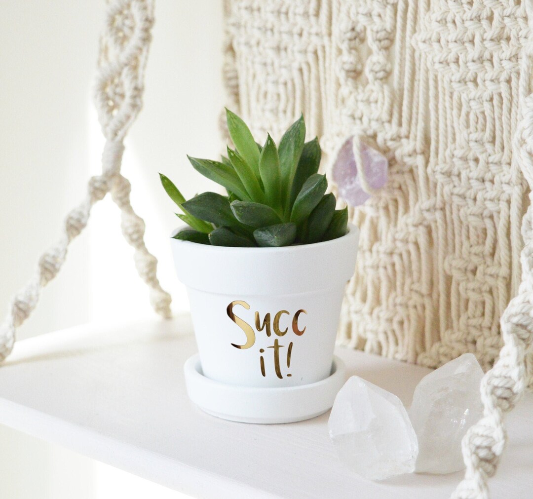 Succ It Pun Plant Pot: 2.5" White Ceramic Succulent Planter W/ Saucer ...