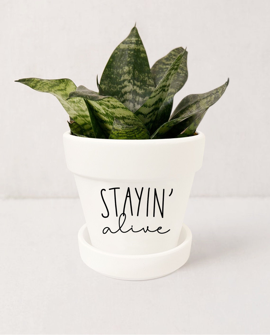 Funny Pots for Plants Stayin' Alive Succulent Planter - Etsy