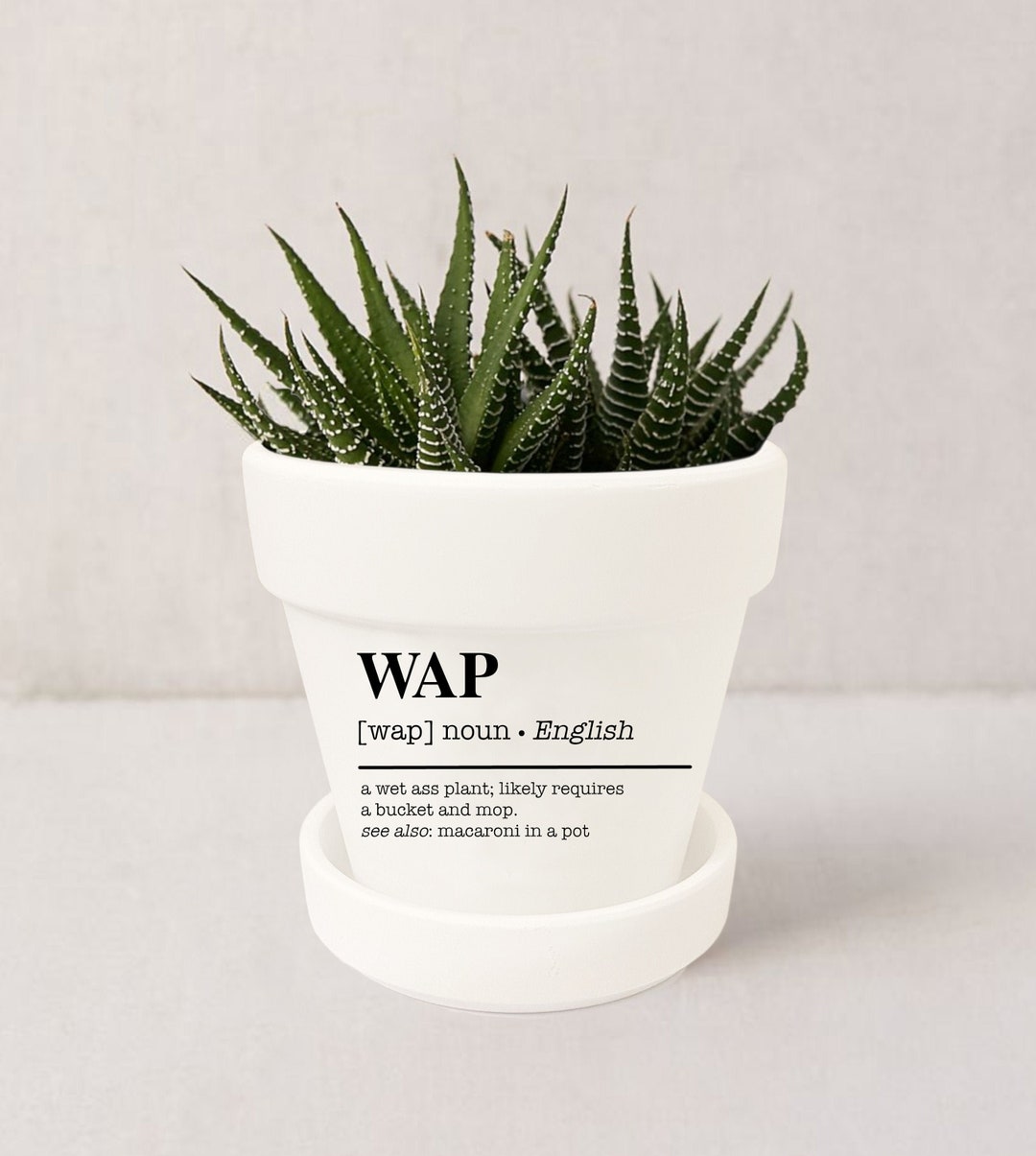 WAP Definition Planter | Best Friend Gift | Gag Gift | Wap Art | Funny ...