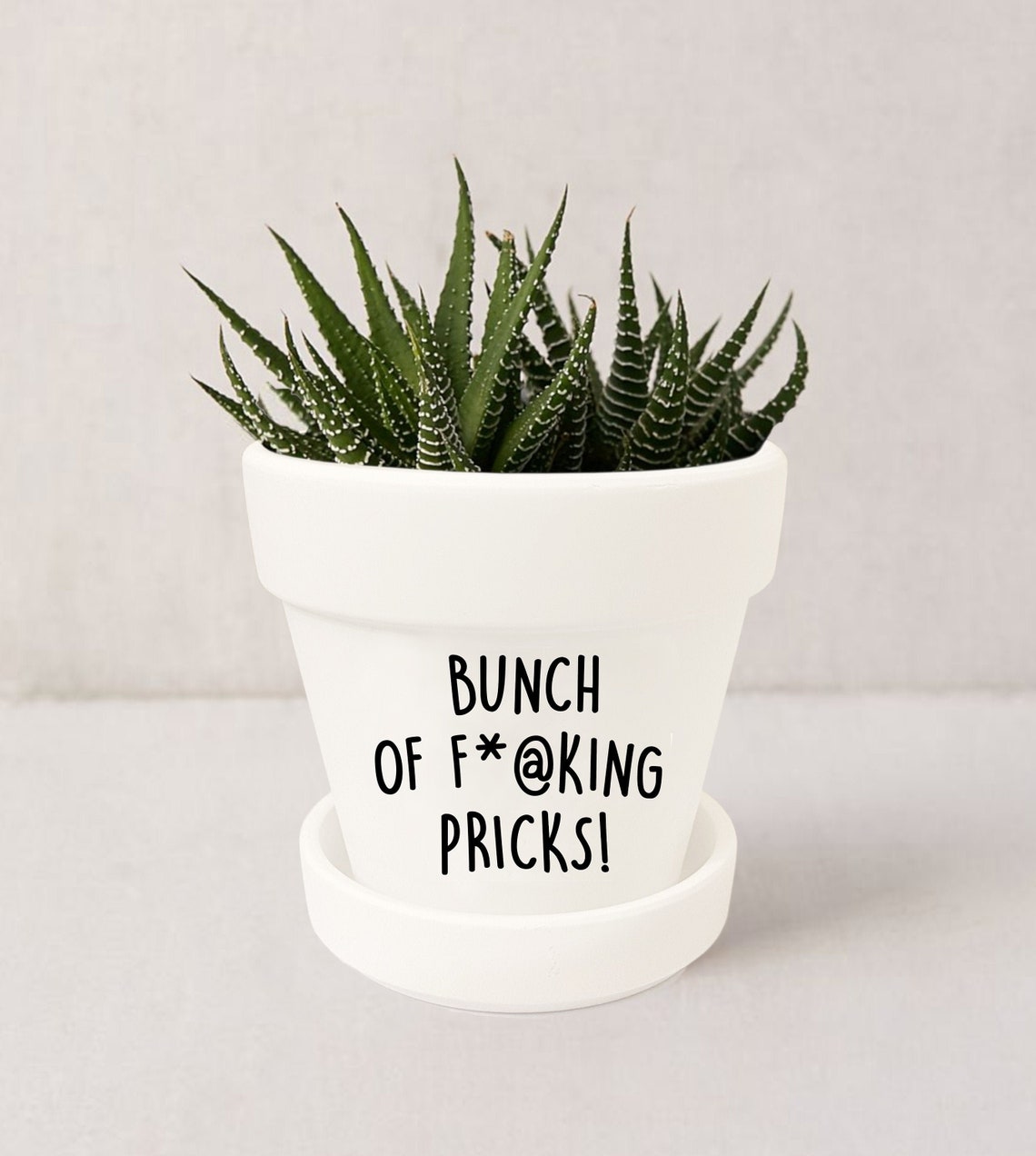 Bunch of Fking Pricks punny Pun Plant Pot Indoor - Etsy