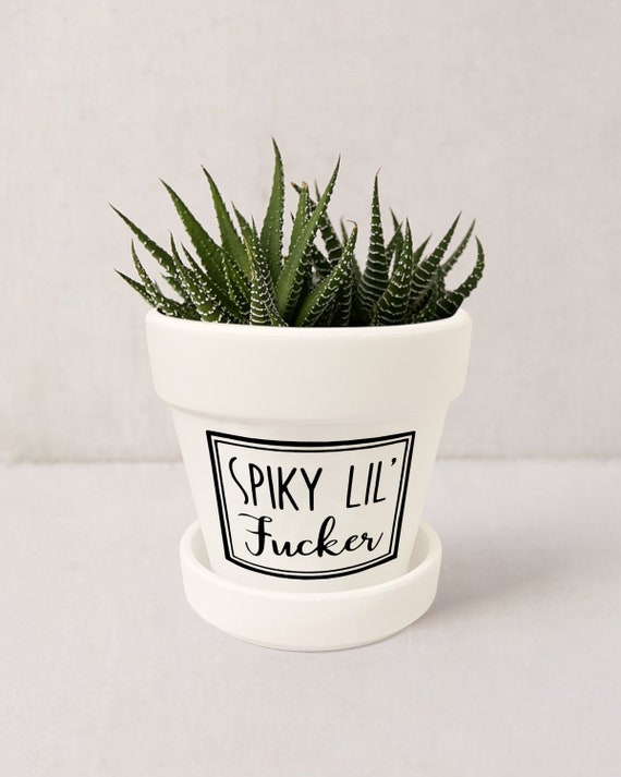 Funny Pun Plant Pot Spiky Lil' Fucker Planter Indoor | Etsy