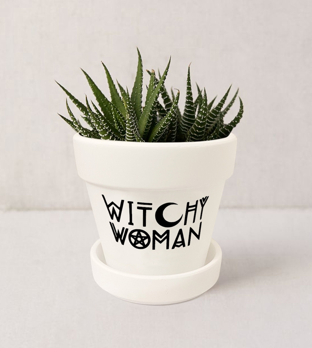 Witchy Woman Plant Pot: Gothic Decor Ceramic Planter W/ Saucer - Etsy