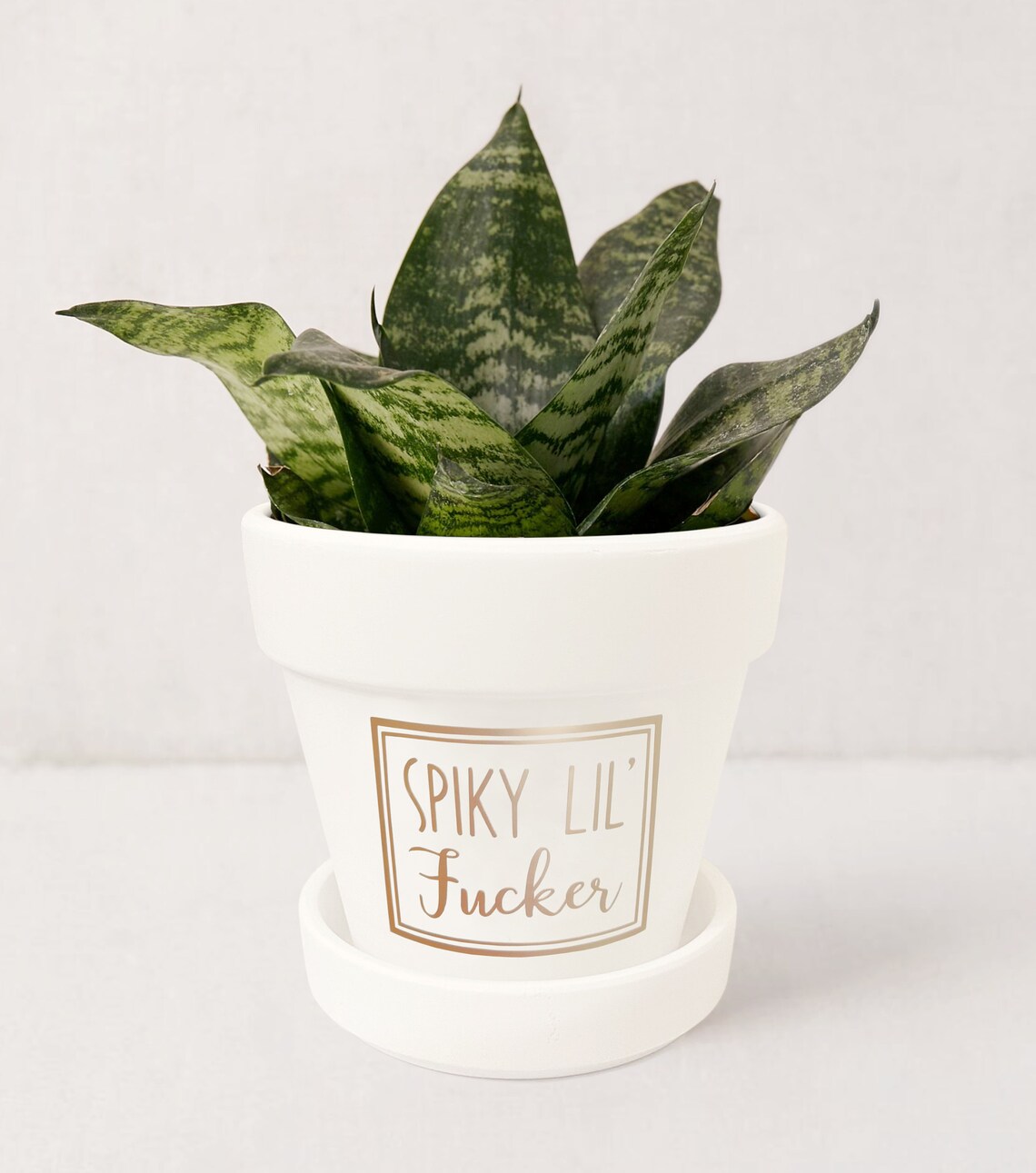 Funny Pun Plant Pot | Spiky Lil' Fucker Planter | Indoor Succulent Pot ...