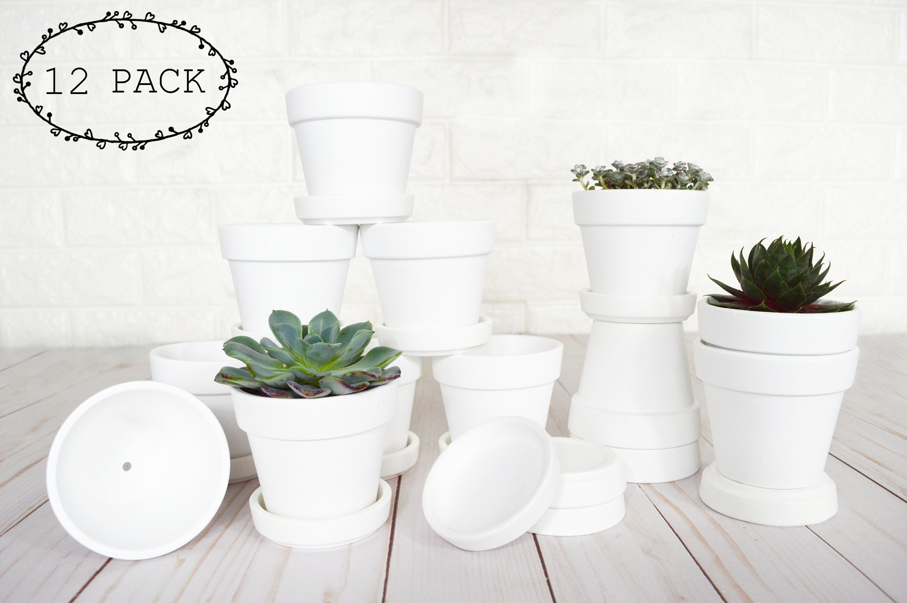 12-pk 2.5"x3" White Terracotta Clay Pots With Tray Saucers - Great for ...