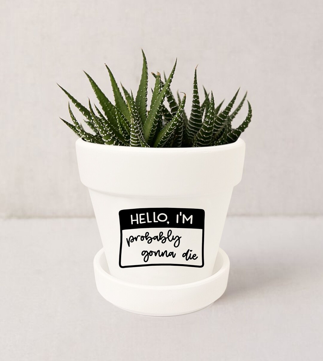Hello, I'm Probably Gonna Die Plant Pot Cute Pots for Plants Succulent ...
