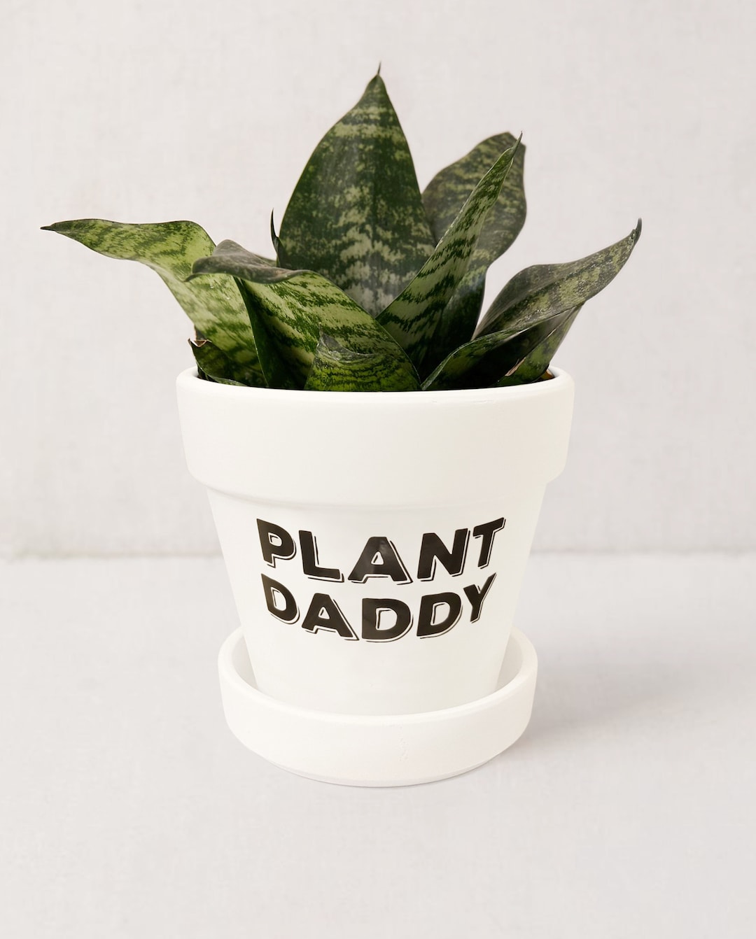 Plant Daddy Plant Pot: Funny Succulent Planter With Saucer - Etsy