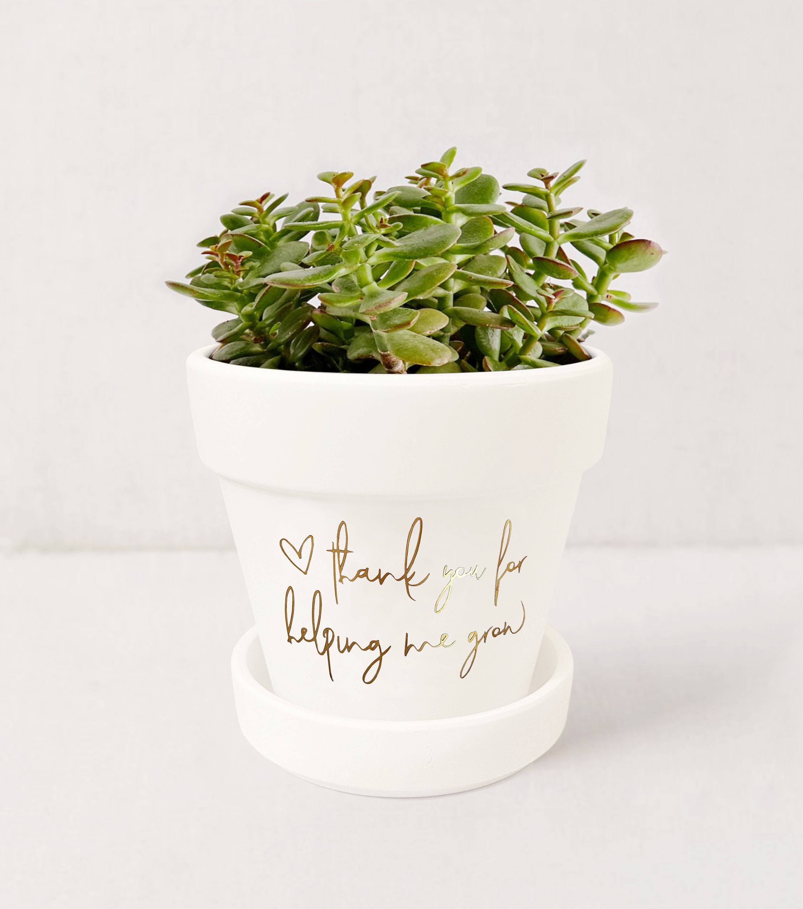 Custom Back Thank You for Helping Me Grow Plant Pot Thank | Etsy