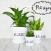 Love Grows Here Plant Pot Plant Lover Gift Succulent Pot Indoor Planter ...