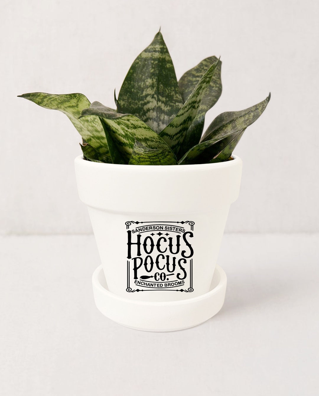 Hocus Pocus Plant Pot Witchy Decor Gothic Decor Mystical - Etsy