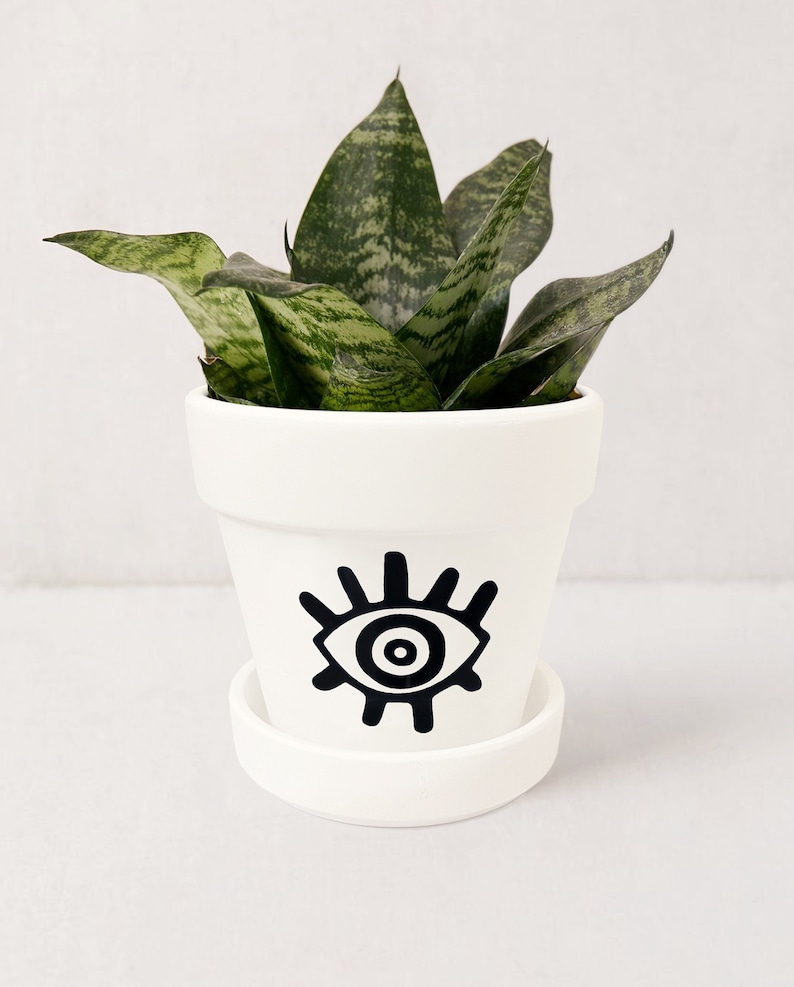 Evil Eye Plant Pot: White Ceramic Succulent Planter With Saucer - Etsy
