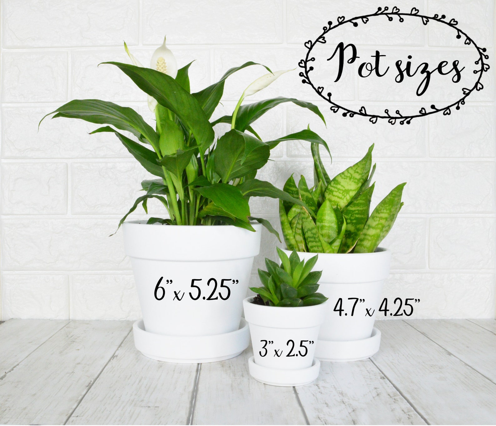 WAP Definition Planter Best Friend Gift Gag Gift Wap Art - Etsy