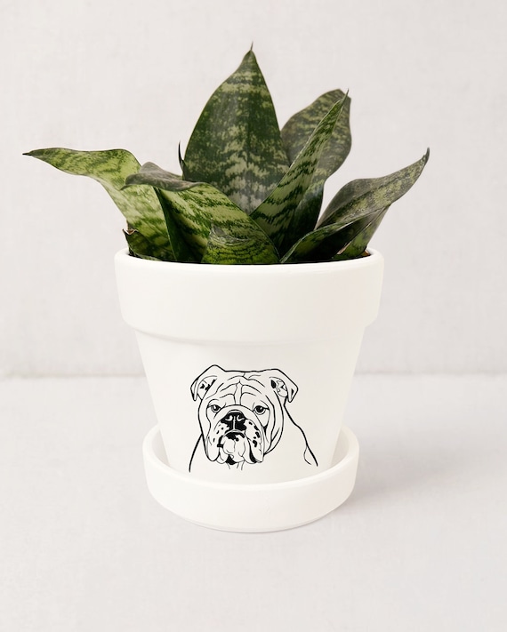 English Bulldog Planter Bulldog Decor Dog Lover Gifts Bull - Etsy