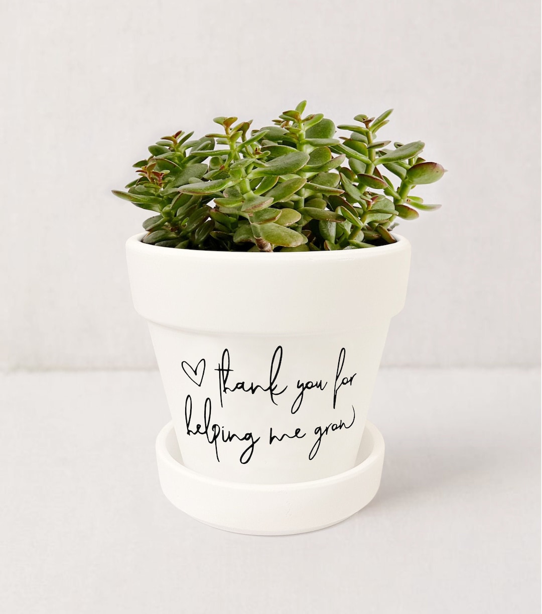 Thank You for Helping Me Grow Plant Pot | Thank You Gift Succulent Pot ...