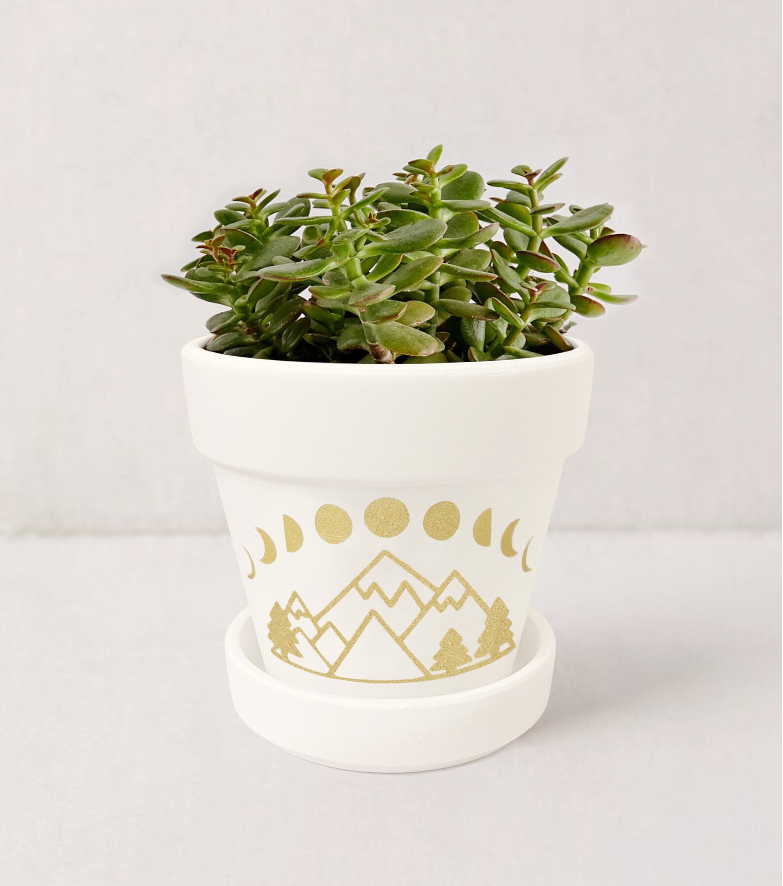 Celestial Moon Phase Mountain Plant Pot Moon Decor Succulent | Etsy