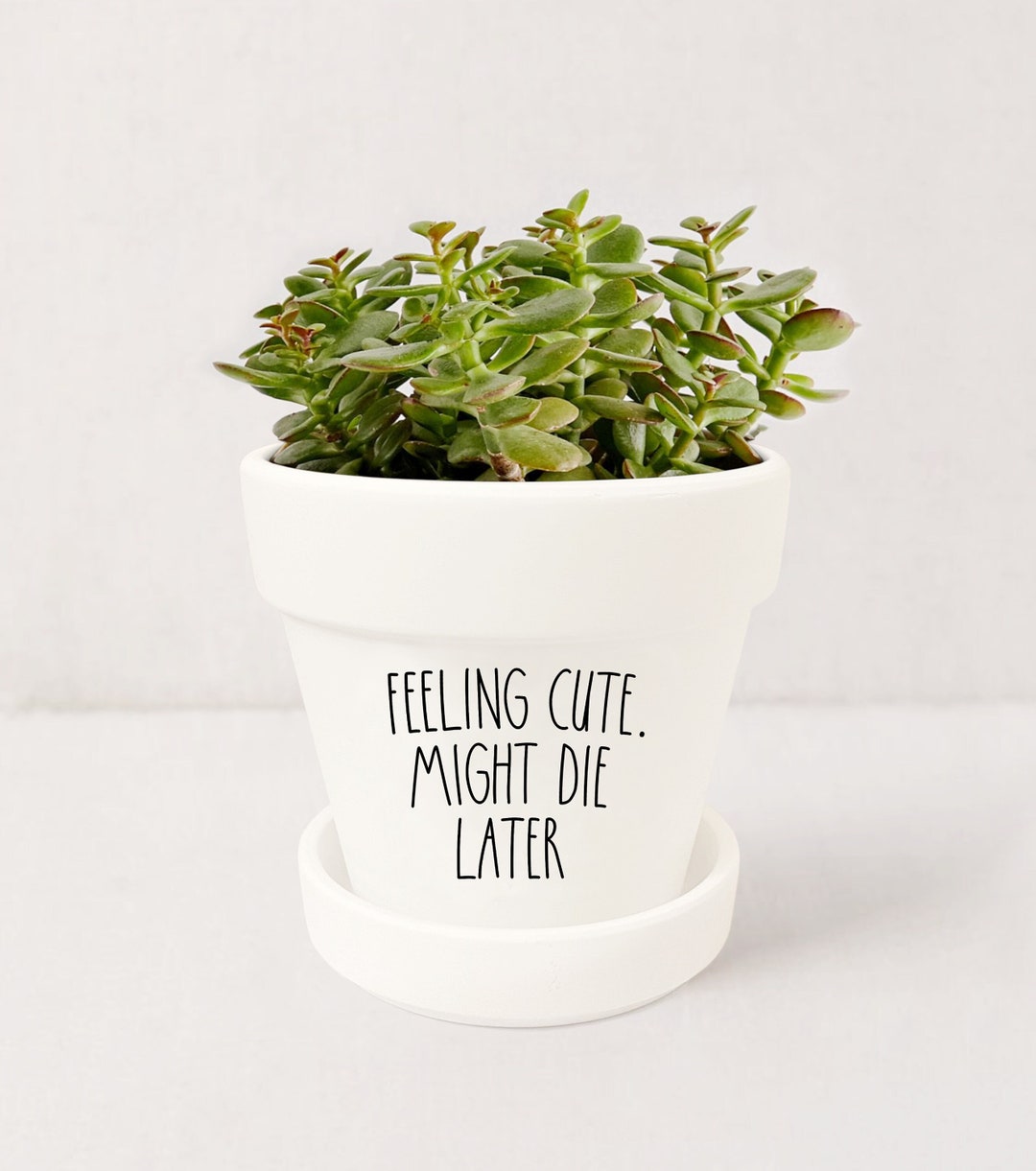 Funny Plant Pot | Feeling Cute Planter | Funny Pots for Plants ...