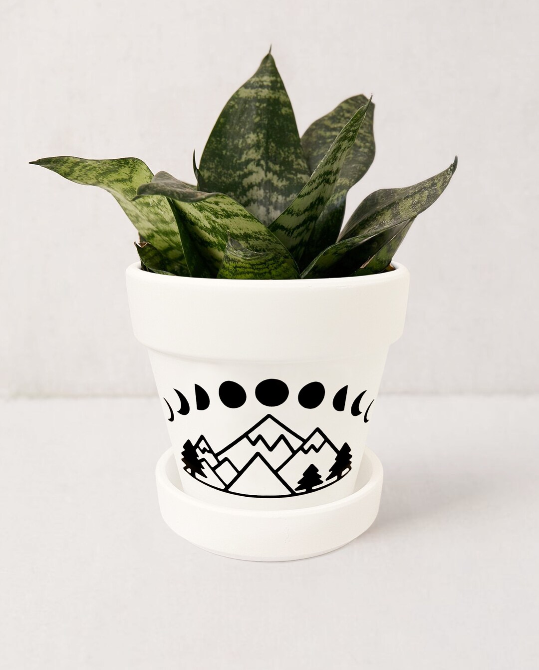 Celestial Moon Phase Mountain Plant Pot Moon Decor | Succulent Planter ...
