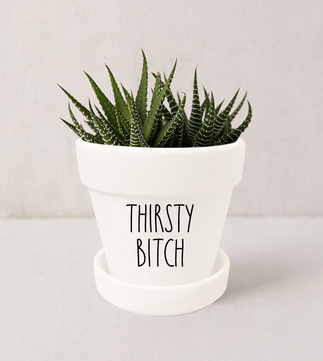 Funny Plant Pot: "thirsty Bitch" Punny White Succulent Planter With ...