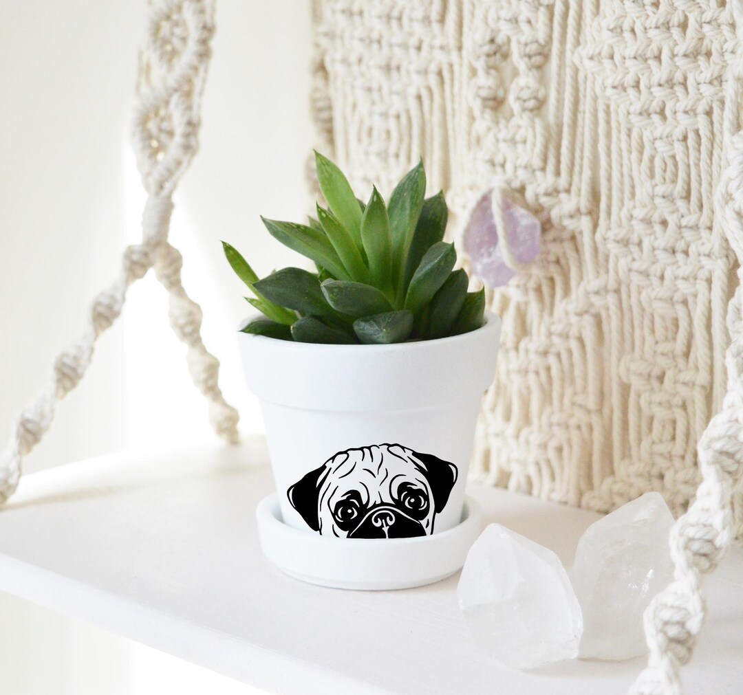 2.5" Peeking Pug Succulent Pot | Dog Decor | Dog Lover Gifts | Cute ...