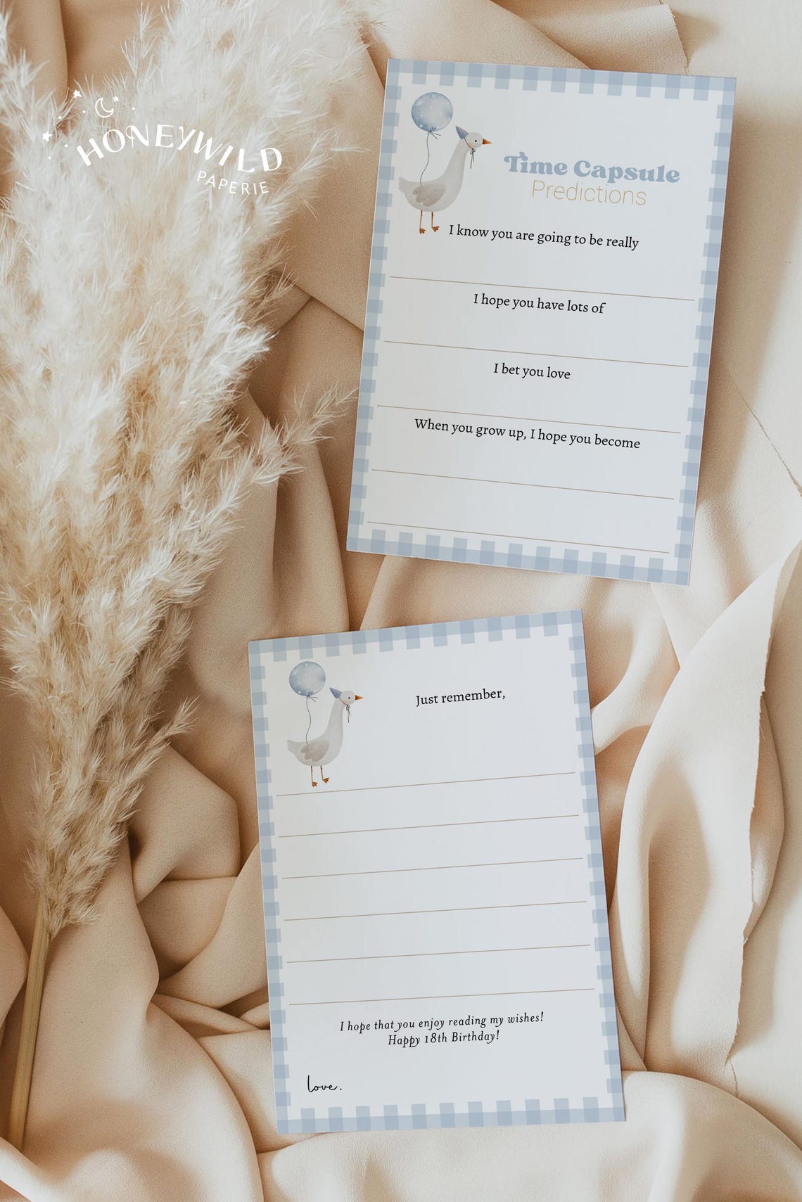 Boy One Silly Goose Time Capsule Sign and Matching Printable Message ...