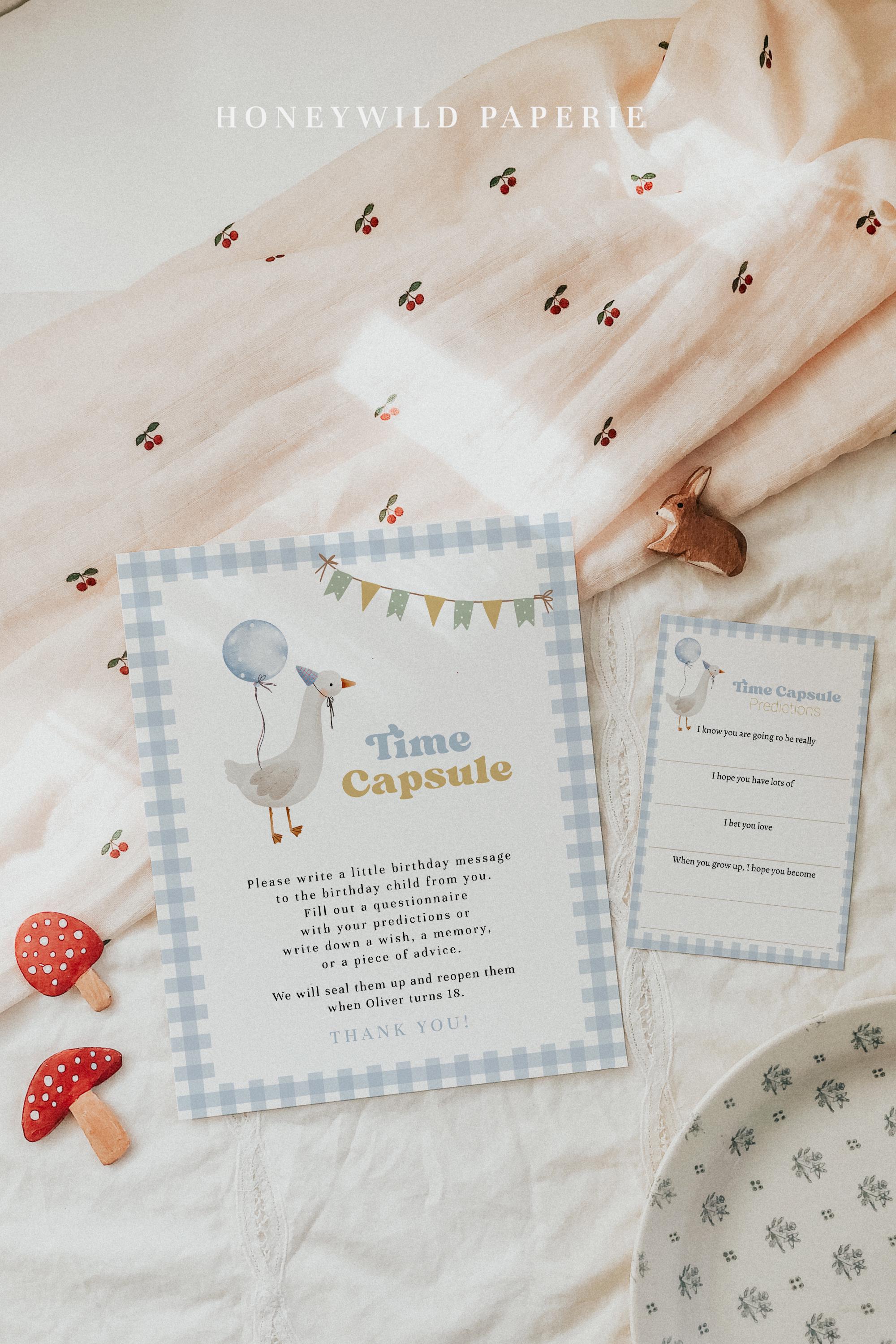 Boy One Silly Goose Time Capsule Sign and Matching Printable Message ...