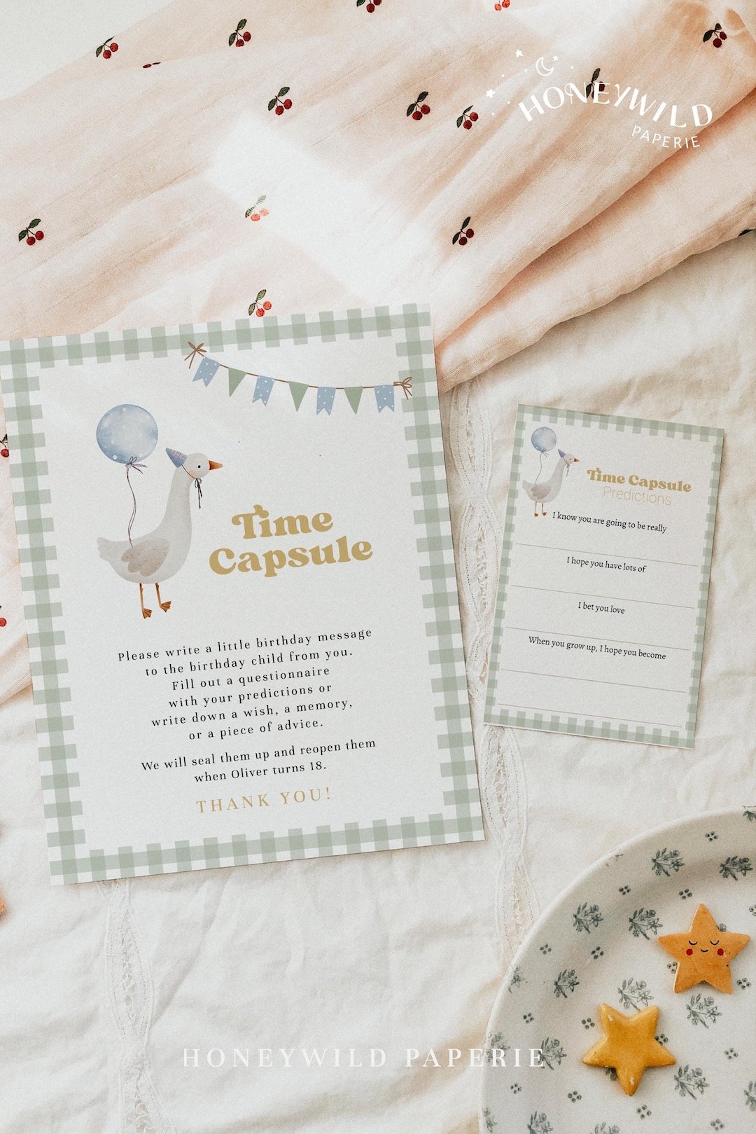Boy One Silly Goose Time Capsule Sign and Matching Printable Message ...