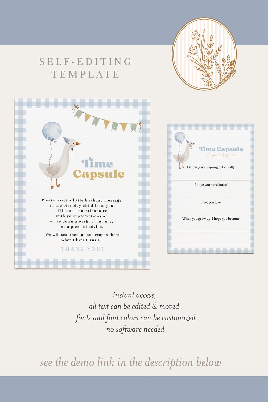 Boy One Silly Goose Time Capsule Sign and Matching Printable Message ...