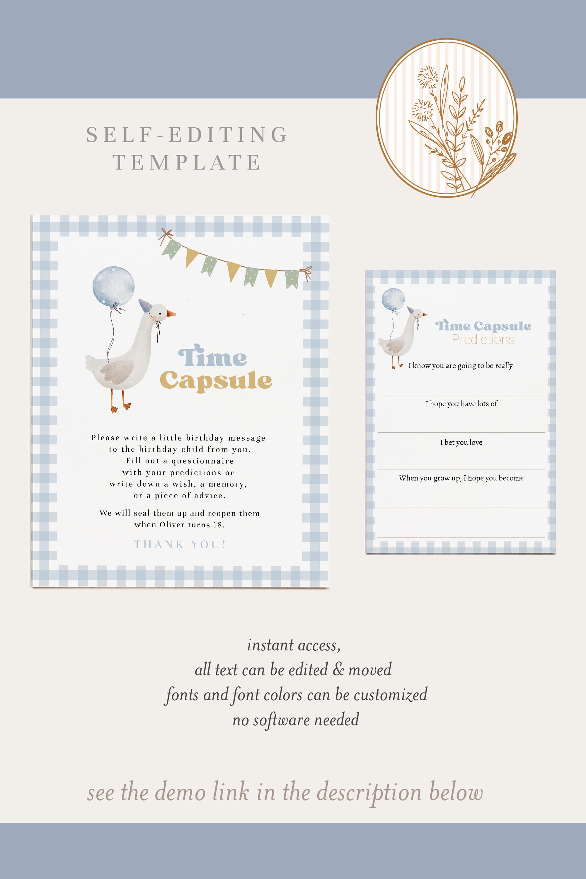 Boy One Silly Goose Time Capsule Sign and Matching Printable Message ...
