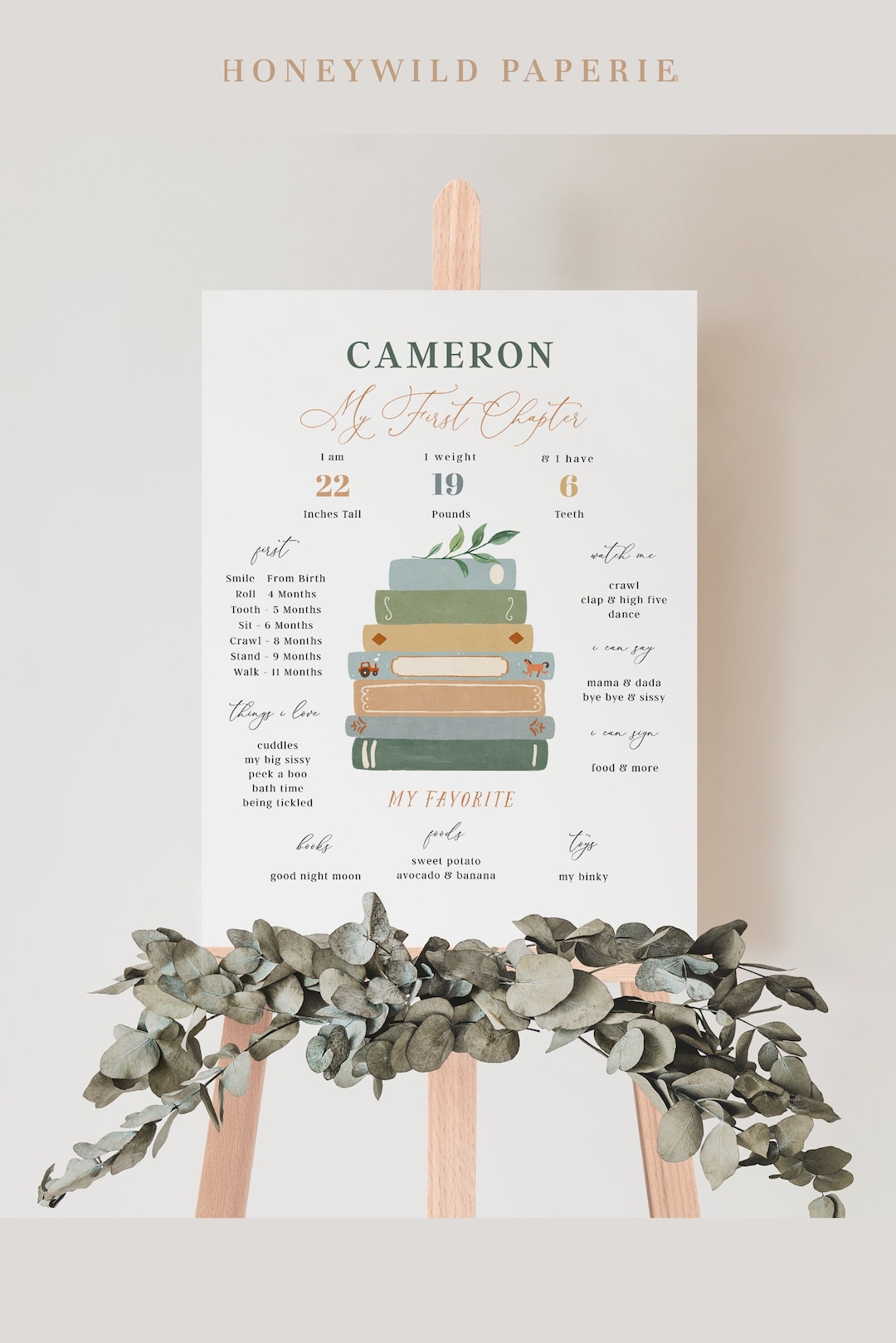 My First Chapter Boy Baby 1st Birthday Milestone Sign, Storybook A New ...