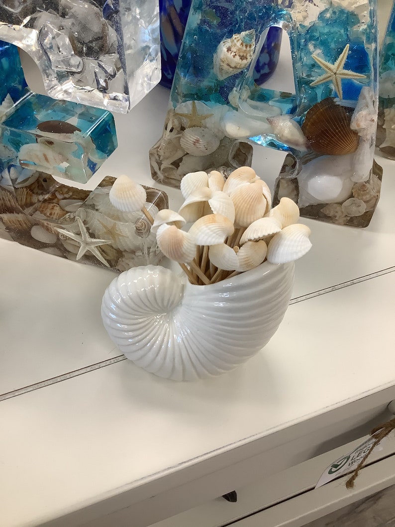 Nautilus Shell Pick Holder - Etsy