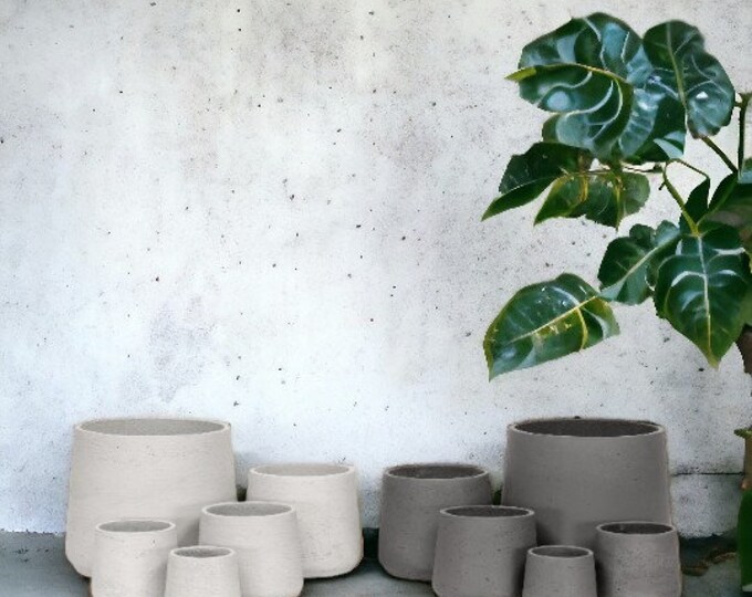 Sm Raw Edged Hypertufa Honeycomb Series Succulent Bowl, Rustic Bowl ...