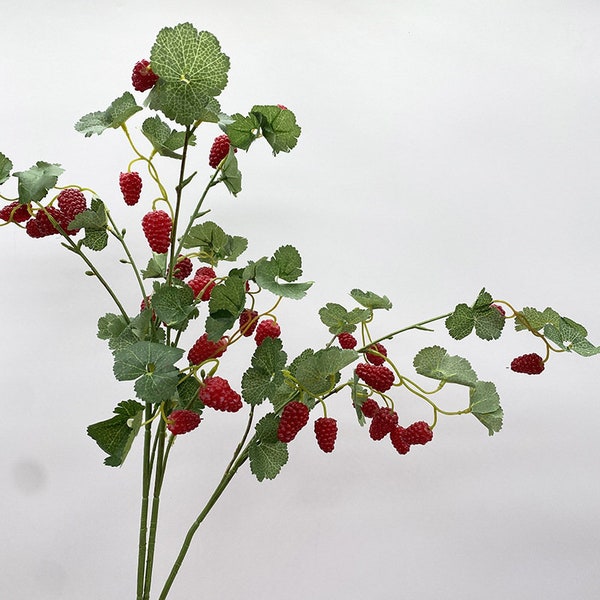 Raspberry Decor - Etsy