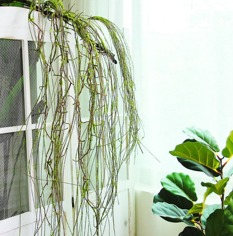 Artificial Hanging Plant Dead Branches Sticks Deadwood With - Etsy