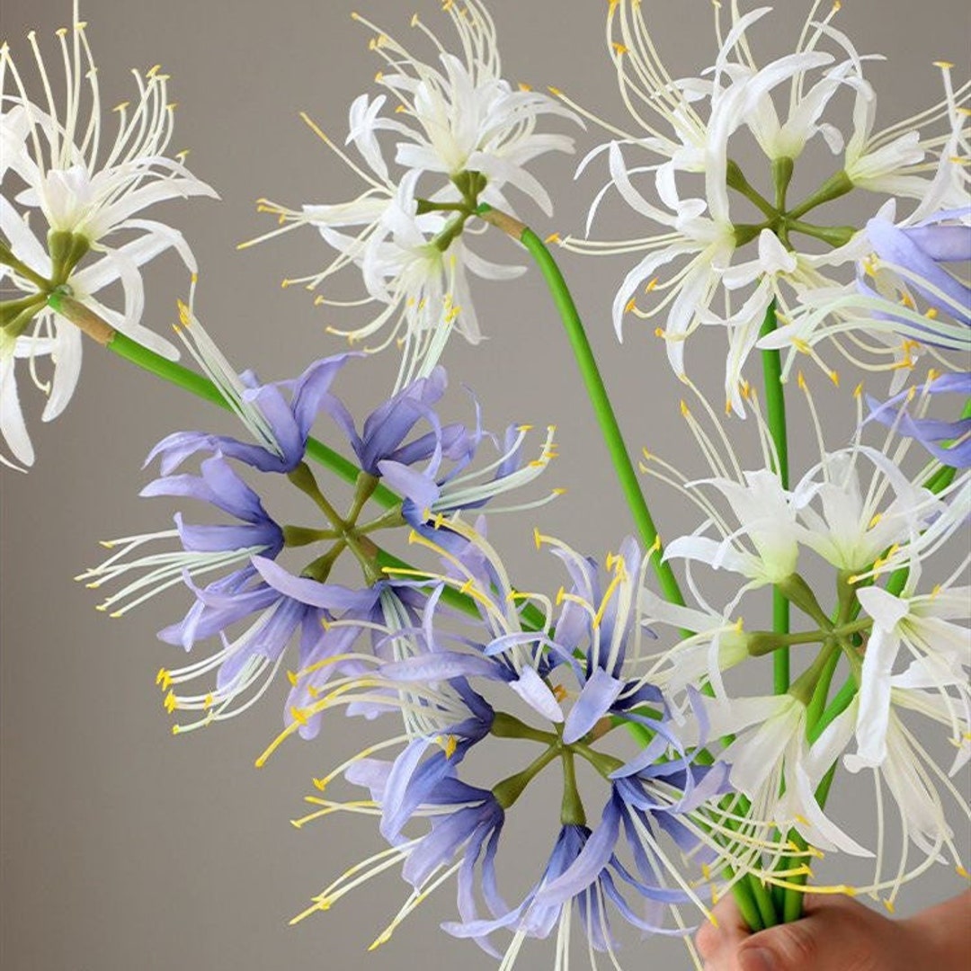 Real Touch Red Spider Lily Artificial White Blue Flower Faux Equinox ...