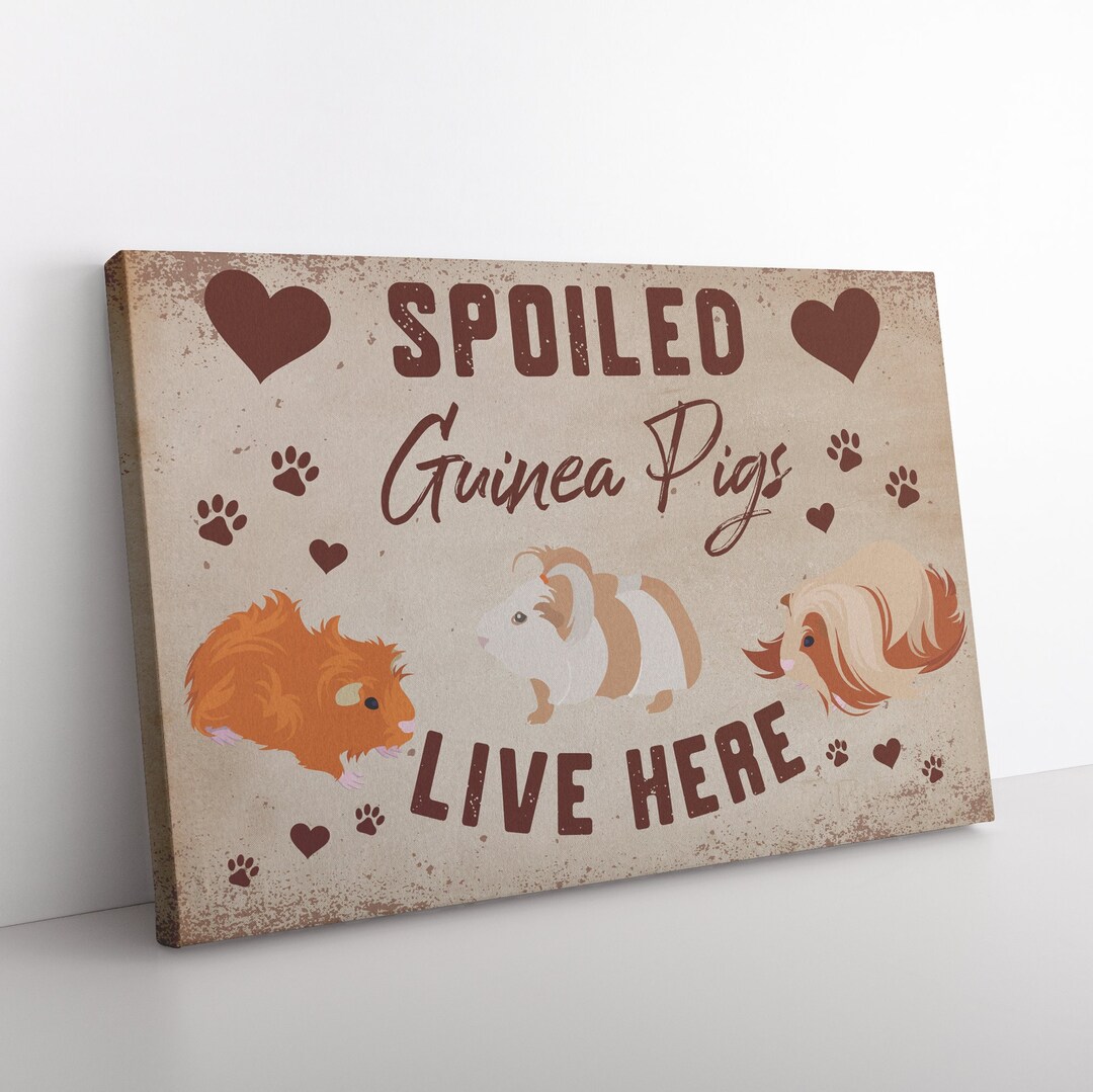 Spoiled Guinea Pig Lives Here Rustic Wall Art Canvas Sign Home Decor ...