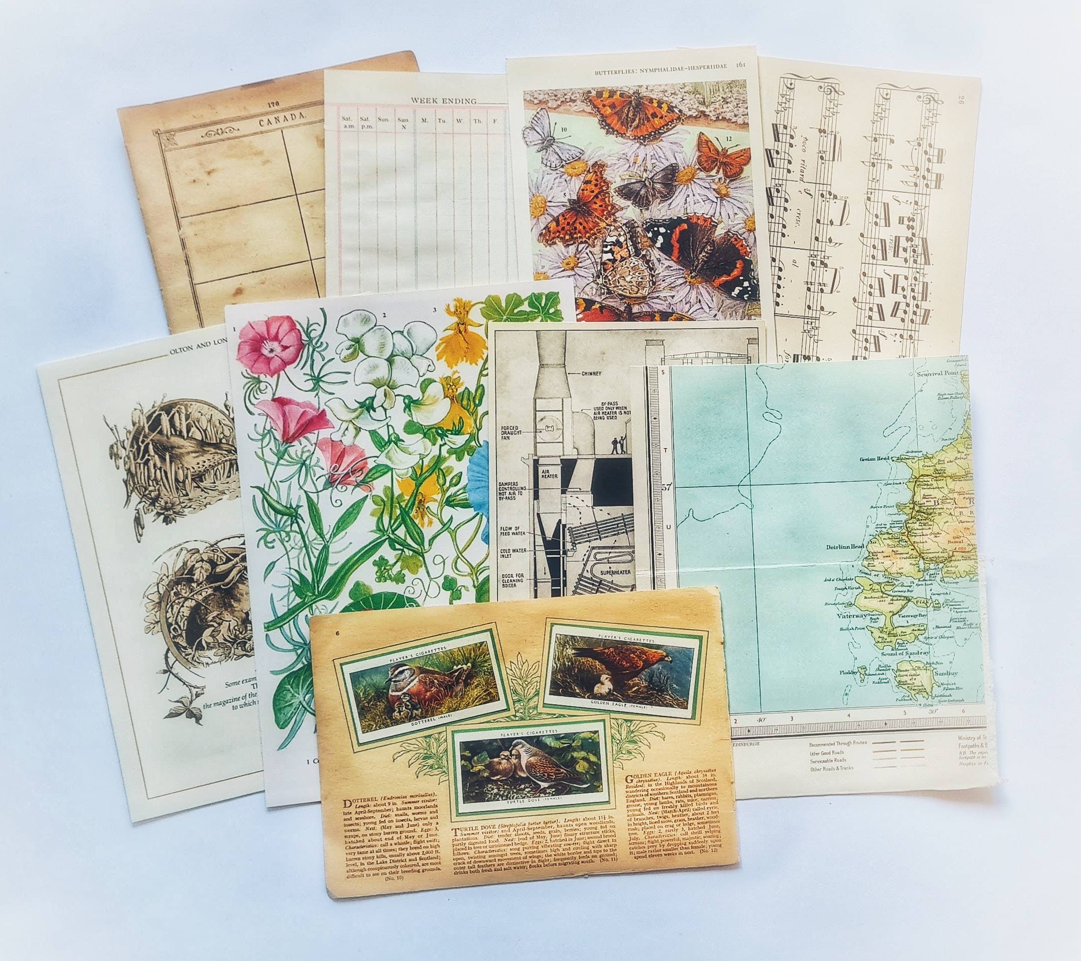 Vintage Ephemera Pack. Junk Journal Ephemera. 80 Pieces. Mixed - Etsy